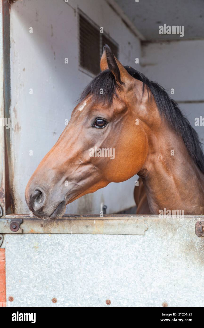 Trainer stables stable hi-res stock photography and images - Alamy
