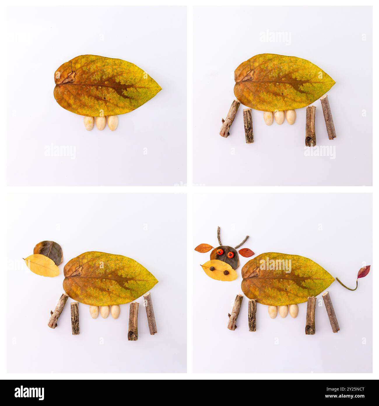 leaf animals clip art, DIY, fall or autumn activity for preschooler ...