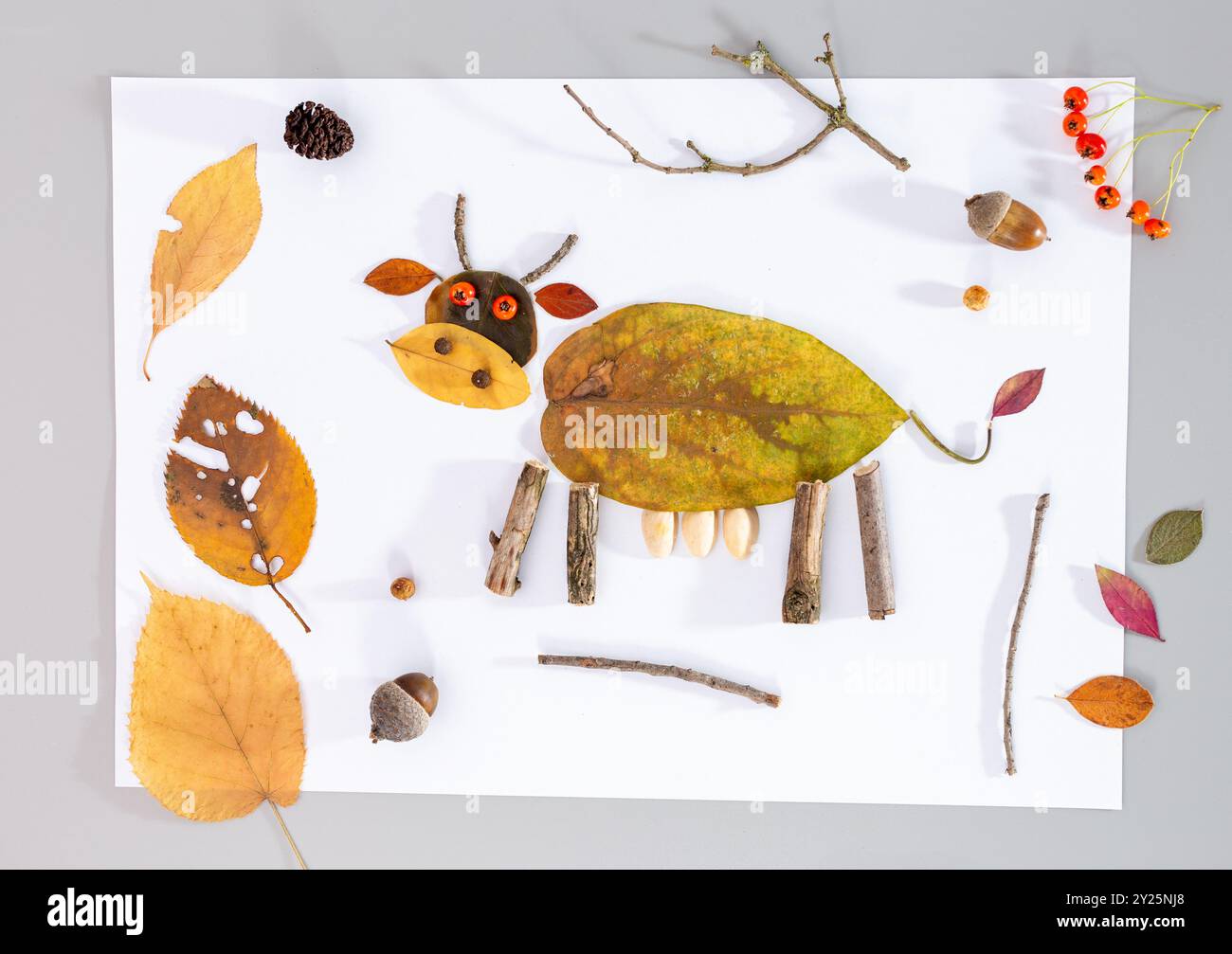Cow made of leaf, autumn nature craft for kids, top view, activity for ...