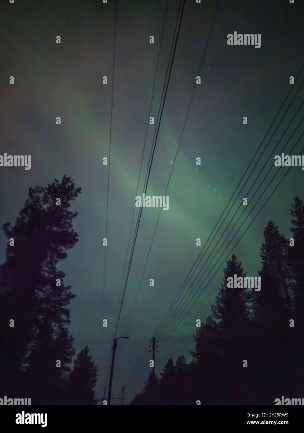 Northern lights above forest and power lines at night in Rovaniemi ...