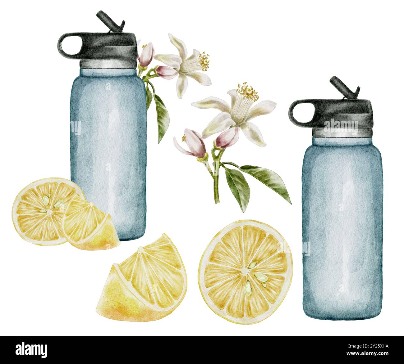 Bottle of water with lemon watercolor illustration Stock Photo - Alamy