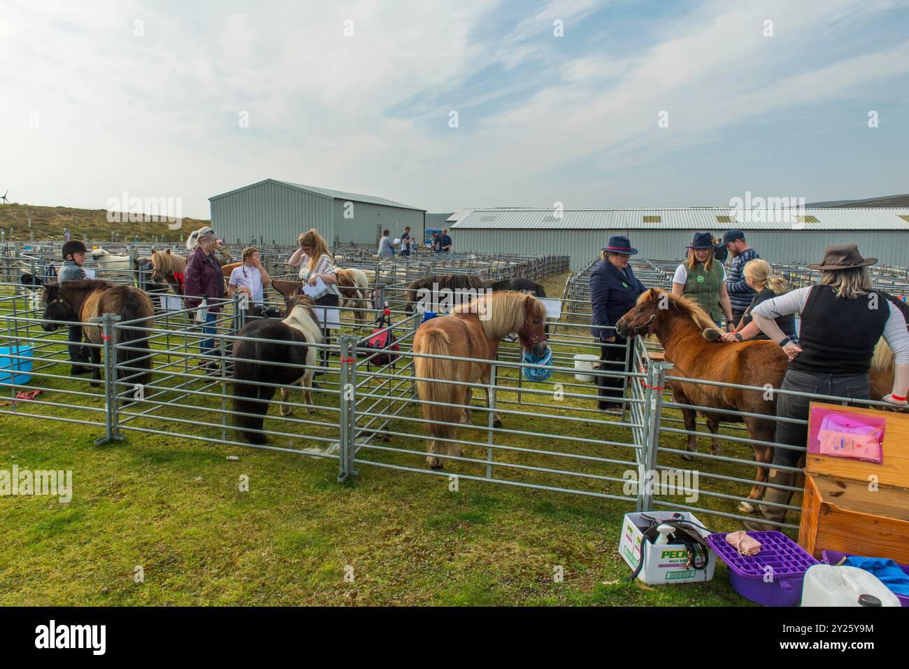 The Yell Show 2024 at East Yell Hall, Shetland—celebrating local ...