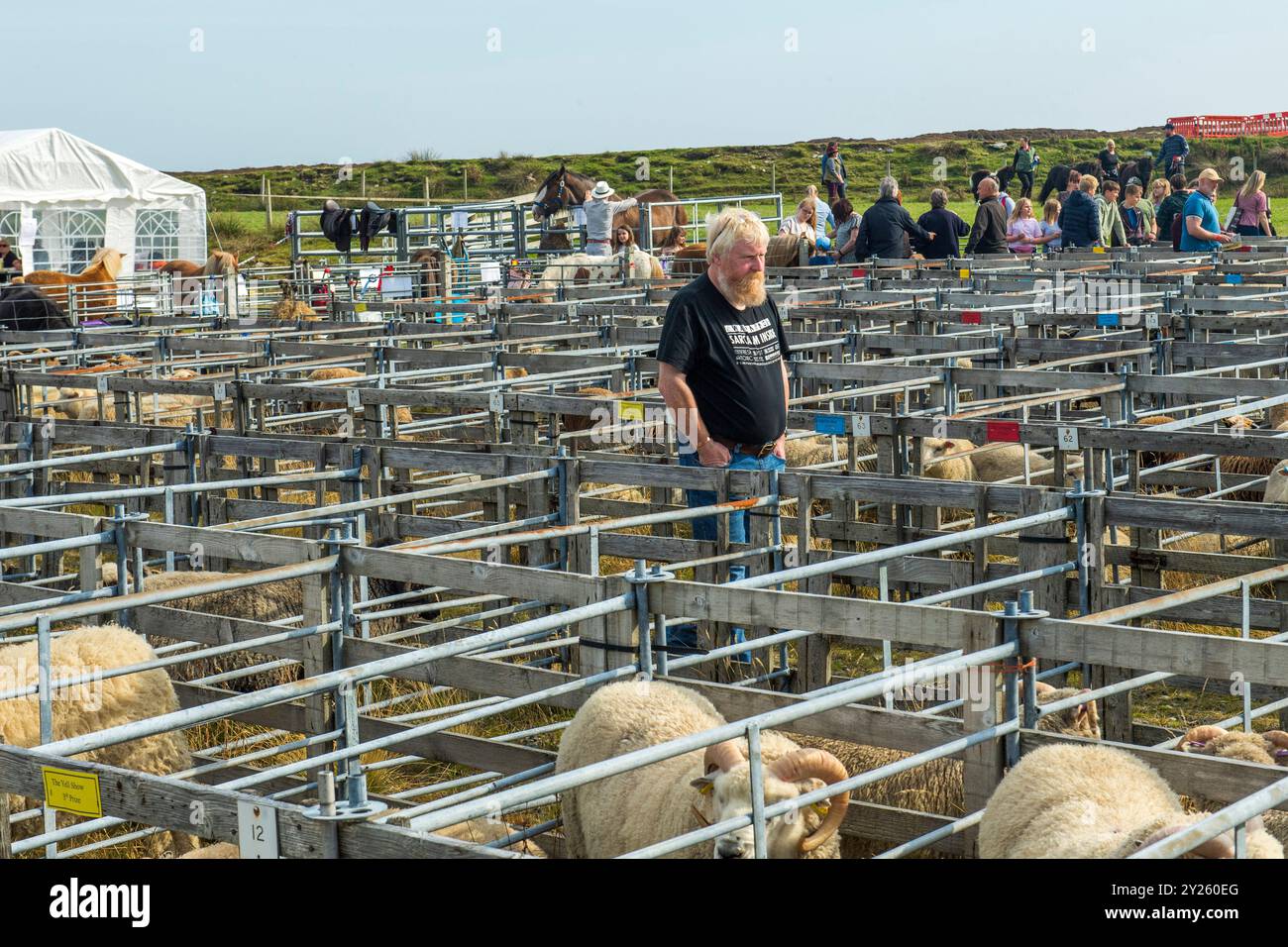 The Yell Show 2024 at East Yell Hall, Shetland—celebrating local ...