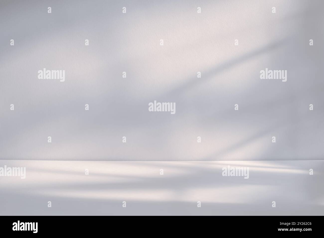 Soft natural light casts gentle shadows on minimalistic white textured ...