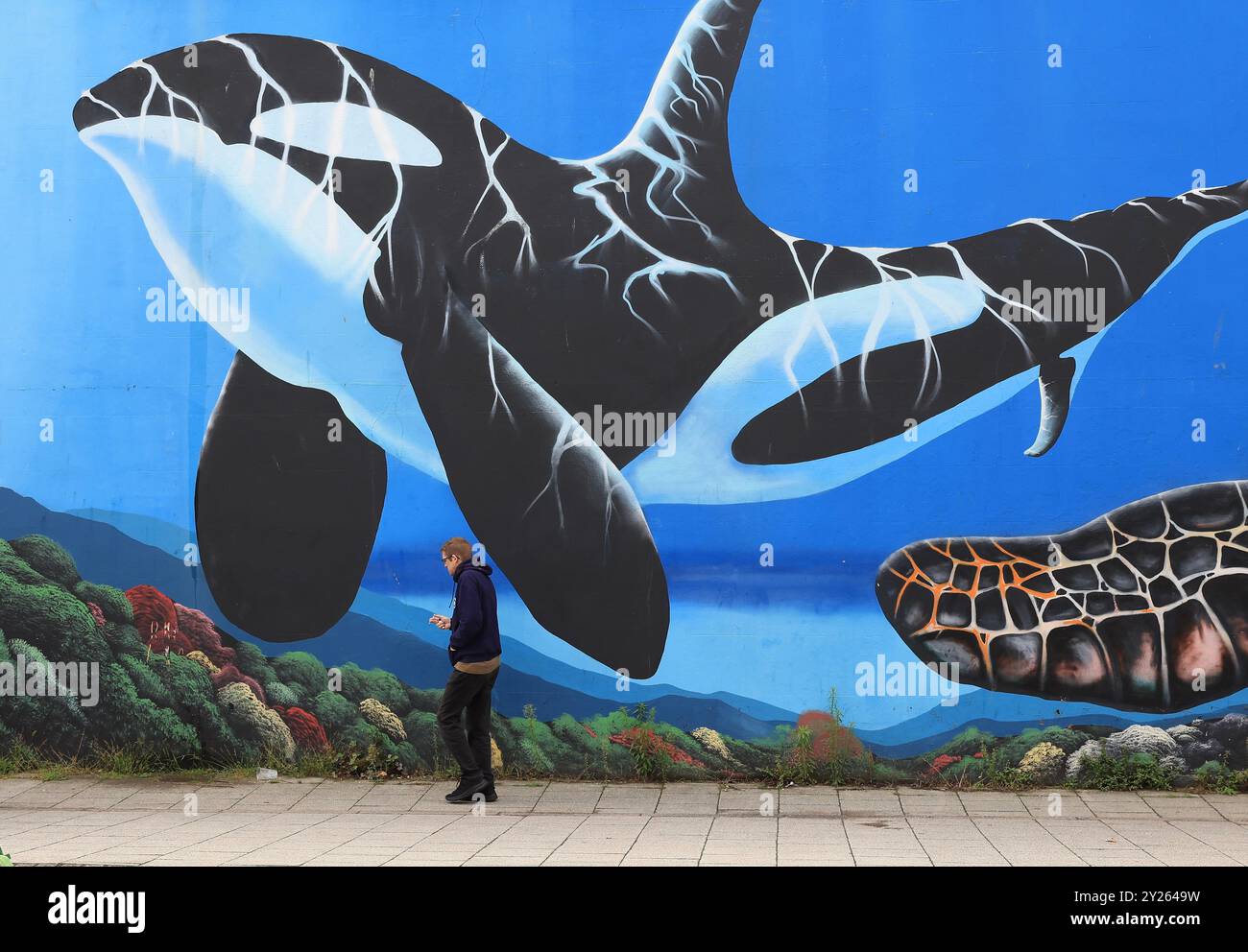 Whale mural hi-res stock photography and images - Alamy