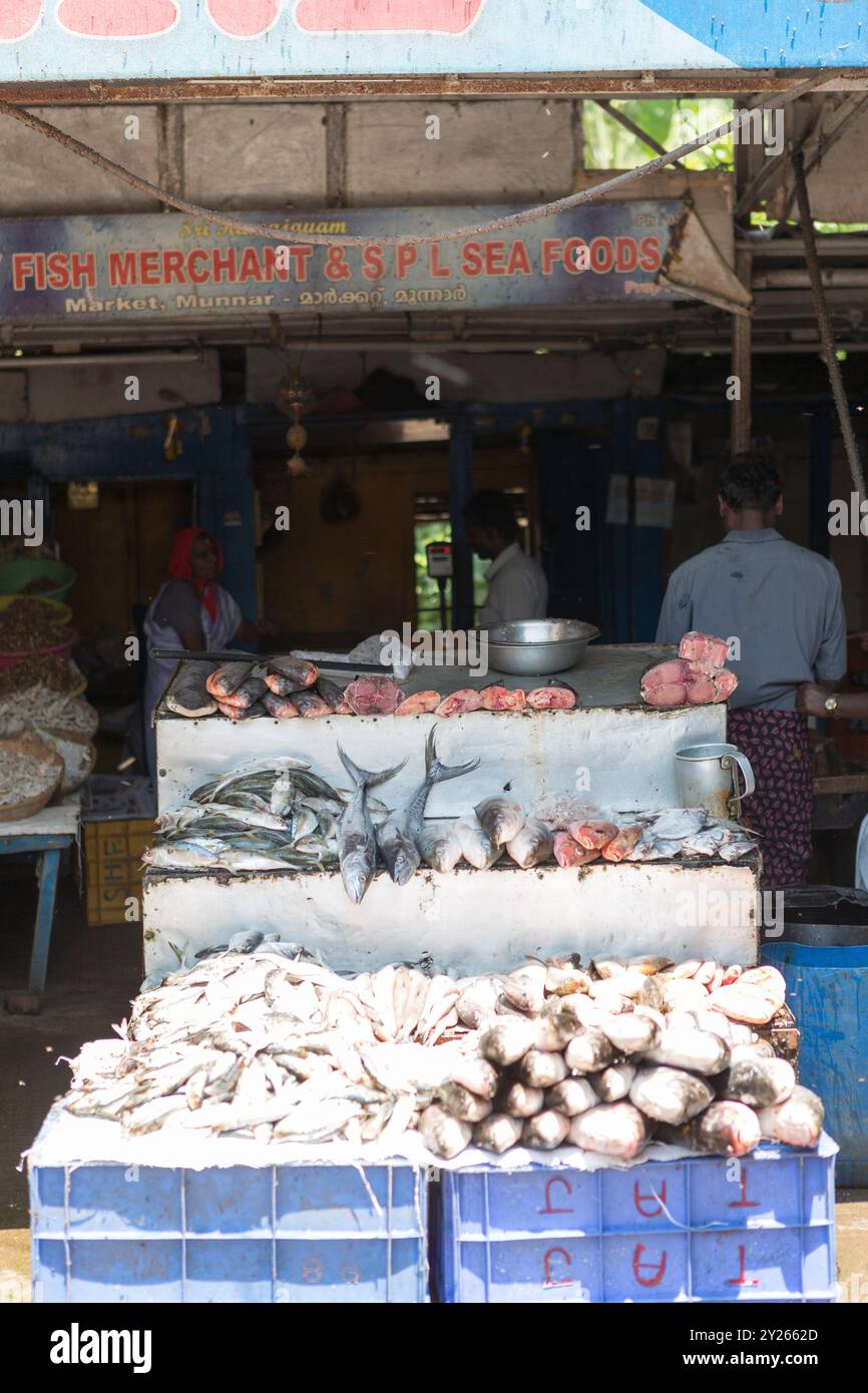 India, Kerala, Munnar, Dried Fish stand in street food market Stock ...