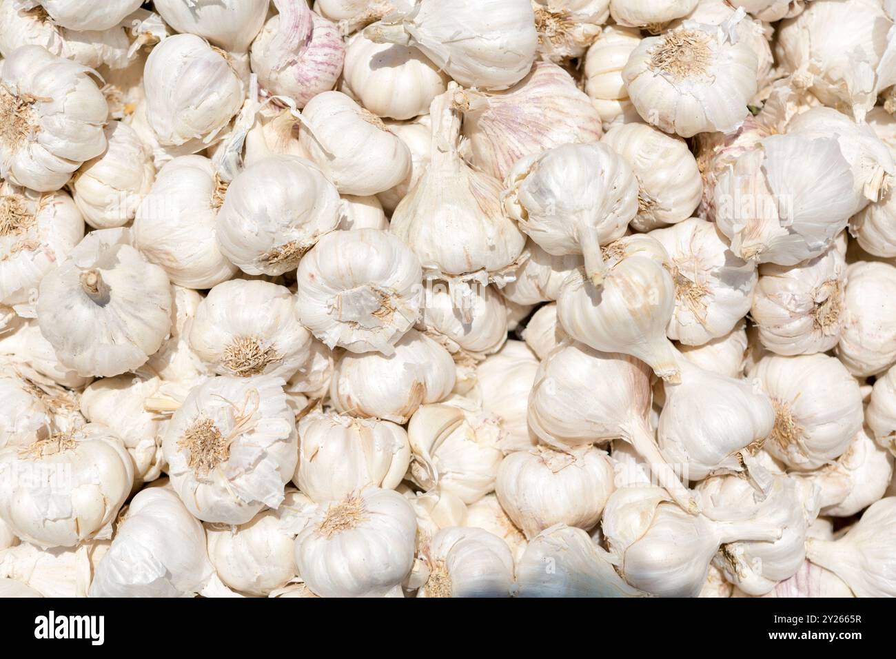 India, Kerala, Munnar, Garlic in street food market Stock Photo - Alamy