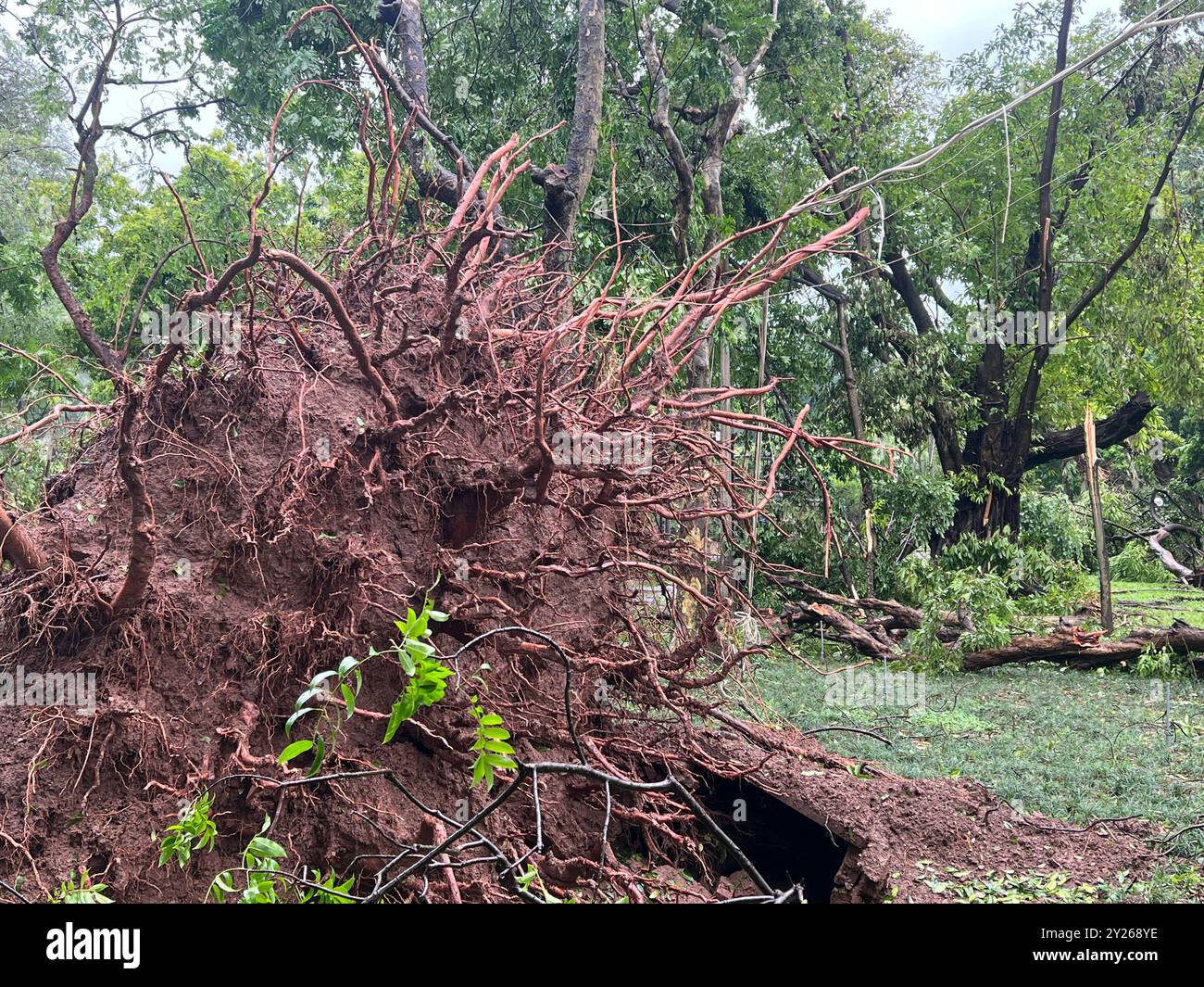 Hanoi in Yagi Typhoon Stock Photo - Alamy