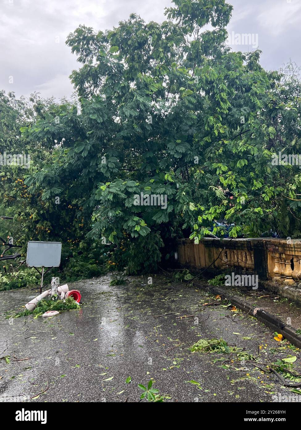 Typhooninstreet hi-res stock photography and images - Alamy