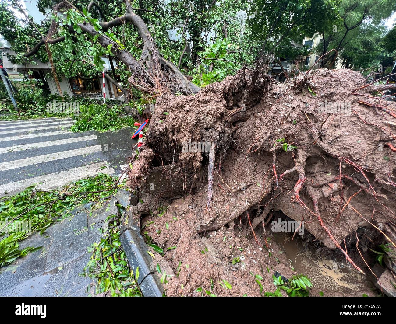 Hanoi in Yagi Typhoon Stock Photo - Alamy