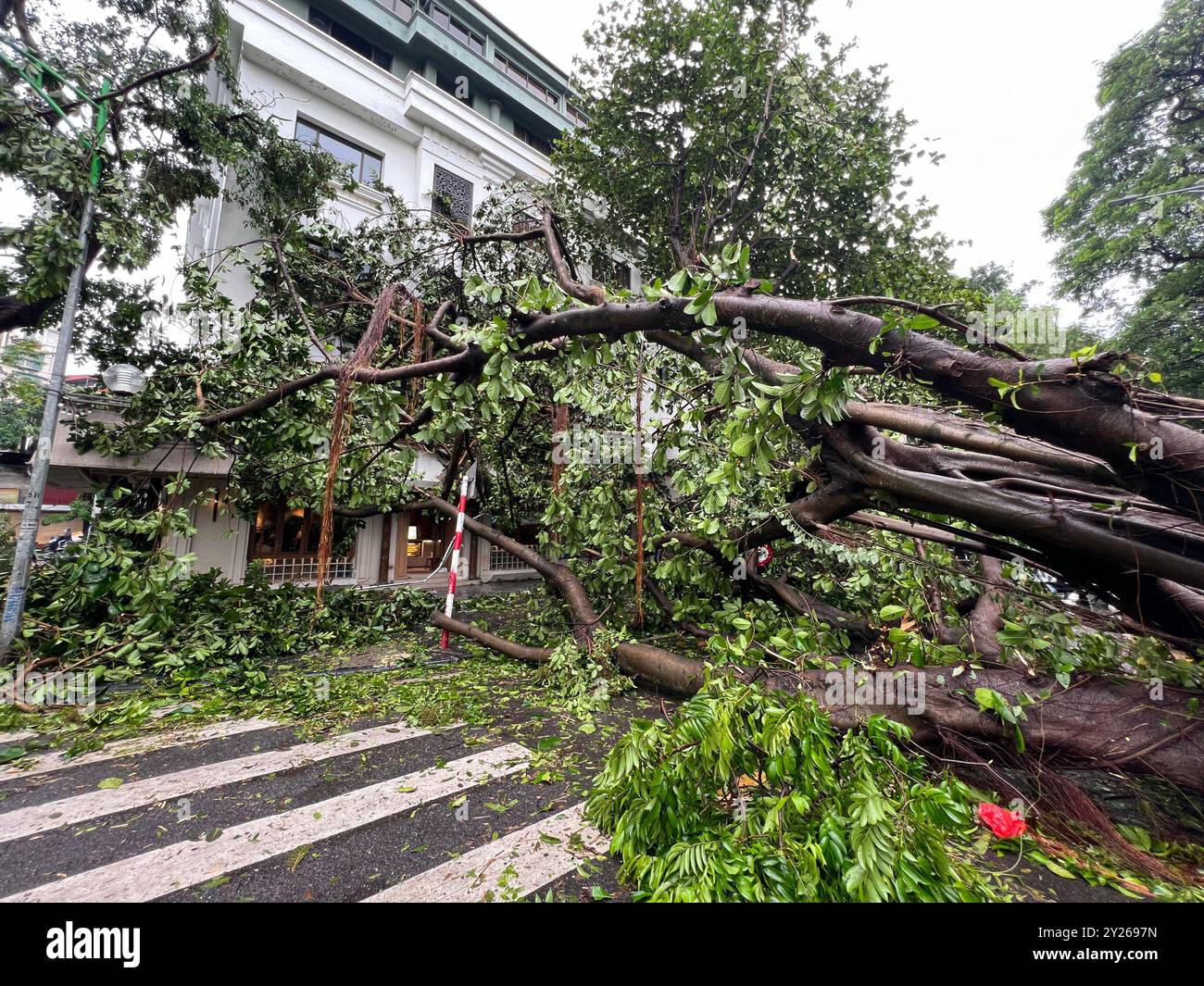 Hanoi in Yagi Typhoon Stock Photo - Alamy