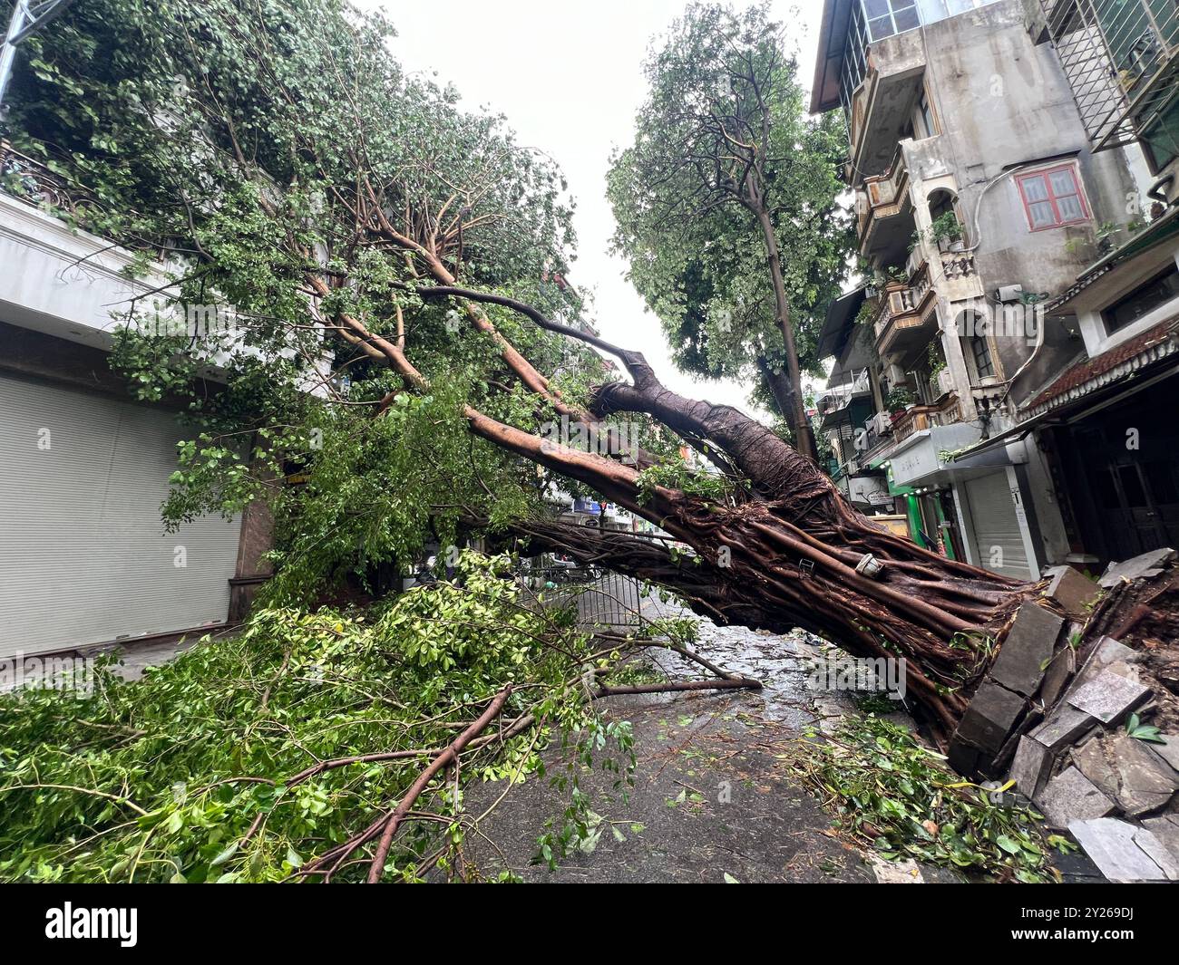 Hanoi in Yagi Typhoon Stock Photo - Alamy