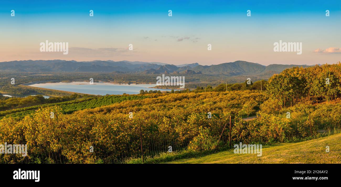 Tropical forest nature landscape view with mountain range and Mexican ...