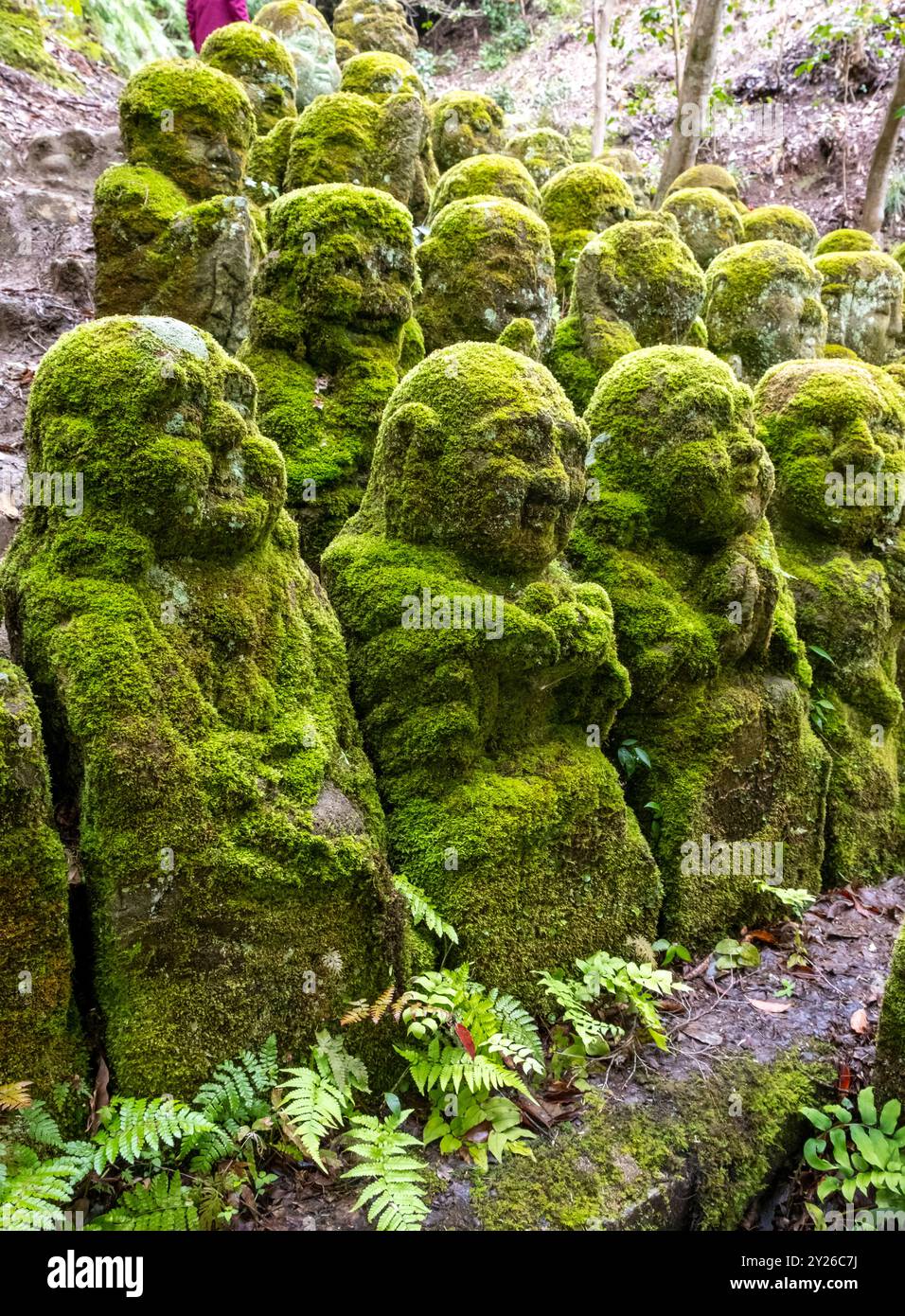 Moss-covered stone statues of rakans - the disciples of Buddha, Otagi ...