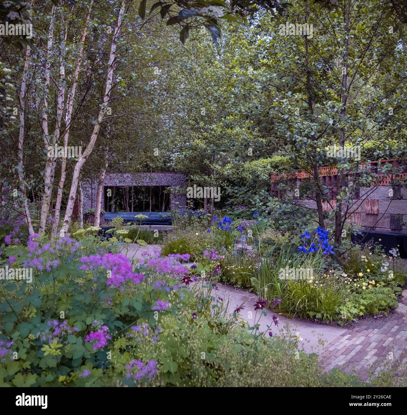 The Muscular Dystrophy - Forest Bathing Garden at the Chelsea Flower ...