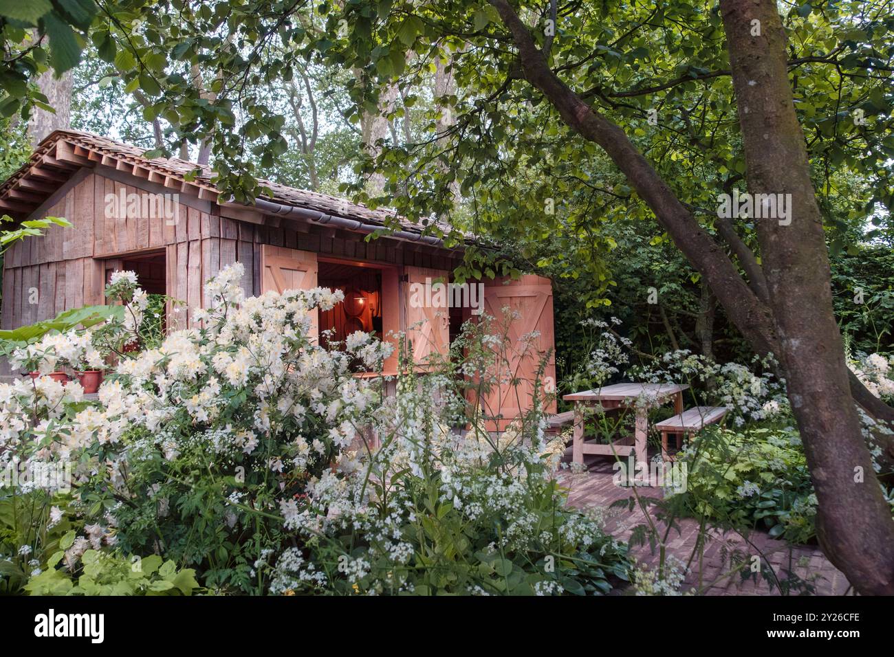 The National Garden Scheme garden at the Chelsea Flower Show 2024 in ...