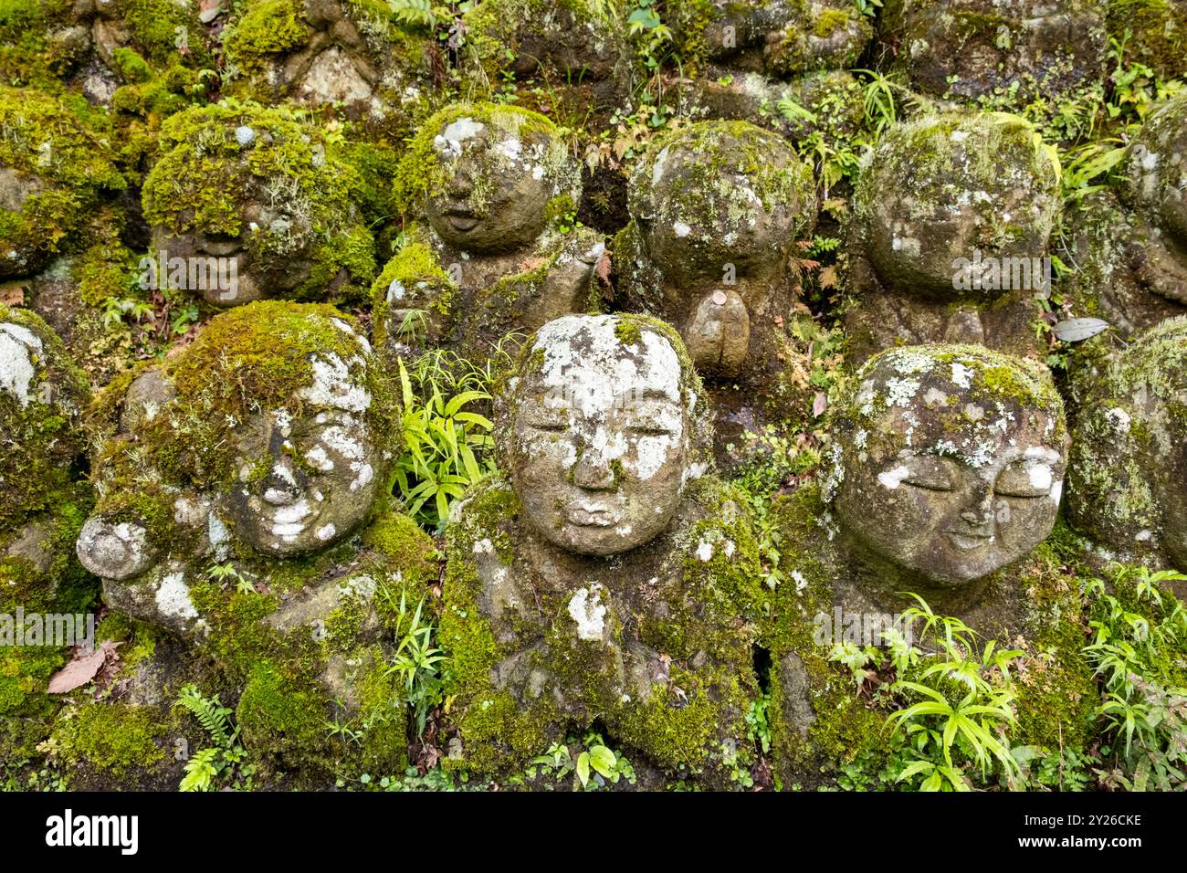 Moss-covered stone statues of rakans - the disciples of Buddha, Otagi ...
