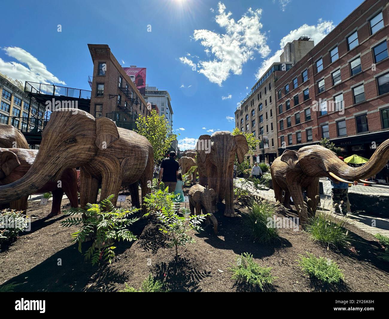 New York, USA. 9/8/24, New York, New York, United States “The Great ...