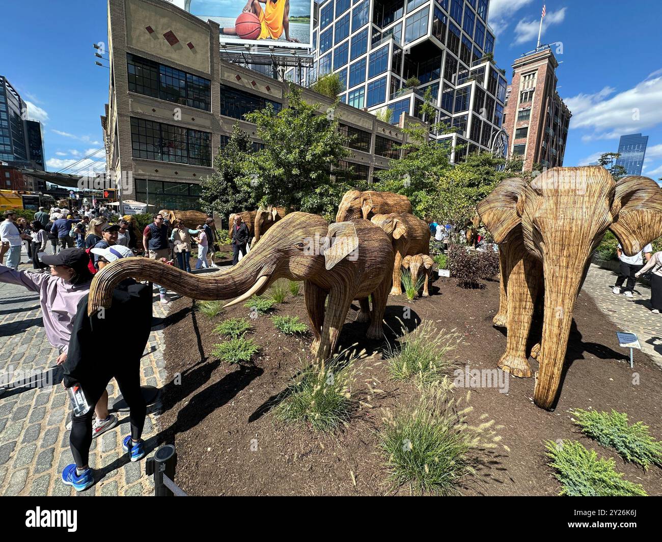 9/8/24, New York, New York, United States “The Great Elephant Migration ...