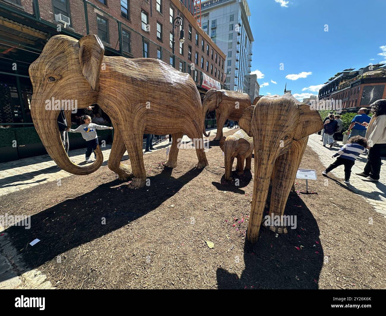 New York, USA. 9/8/24, New York, New York, United States “The Great ...