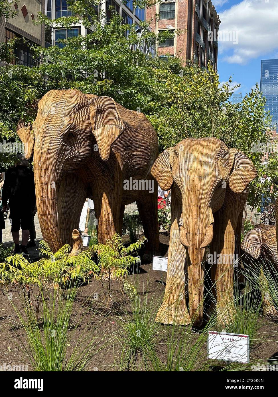 New York, USA. 9/8/24, New York, New York, United States “The Great ...