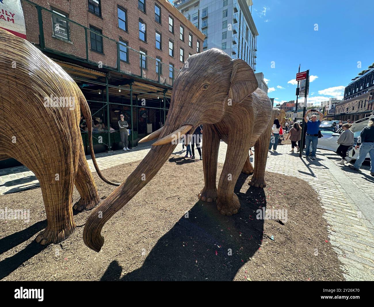 New York, USA. 9/8/24, New York, New York, United States “The Great ...