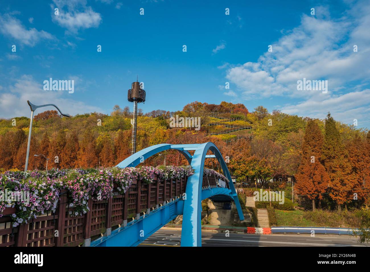 Seoul South Korea of ladder walkway to Haneul Park in autumn Stock ...