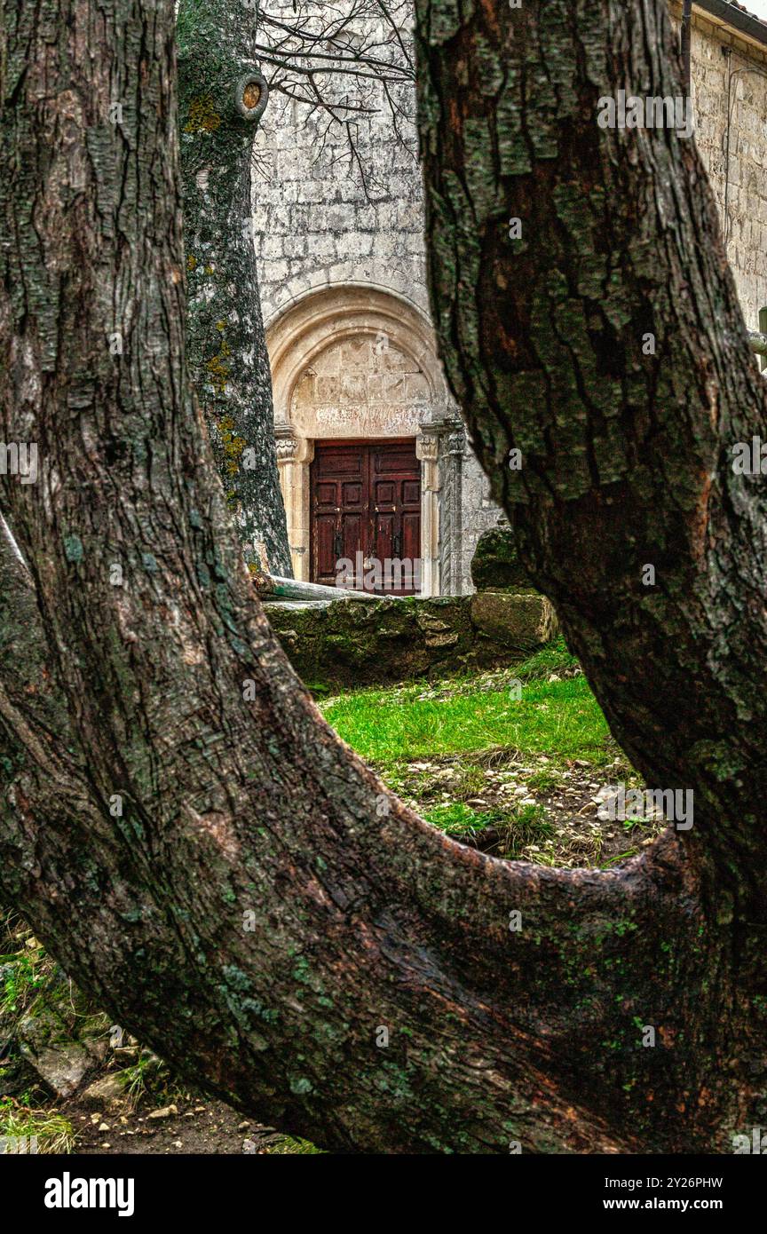 Glimpse between the twisted trees of the facade and the main portal of ...