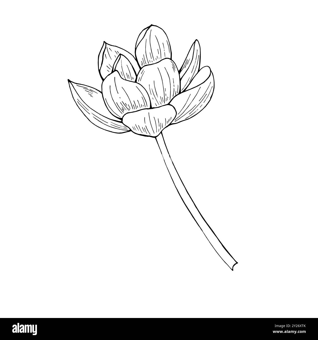 Black And White Flower Side Tattoos