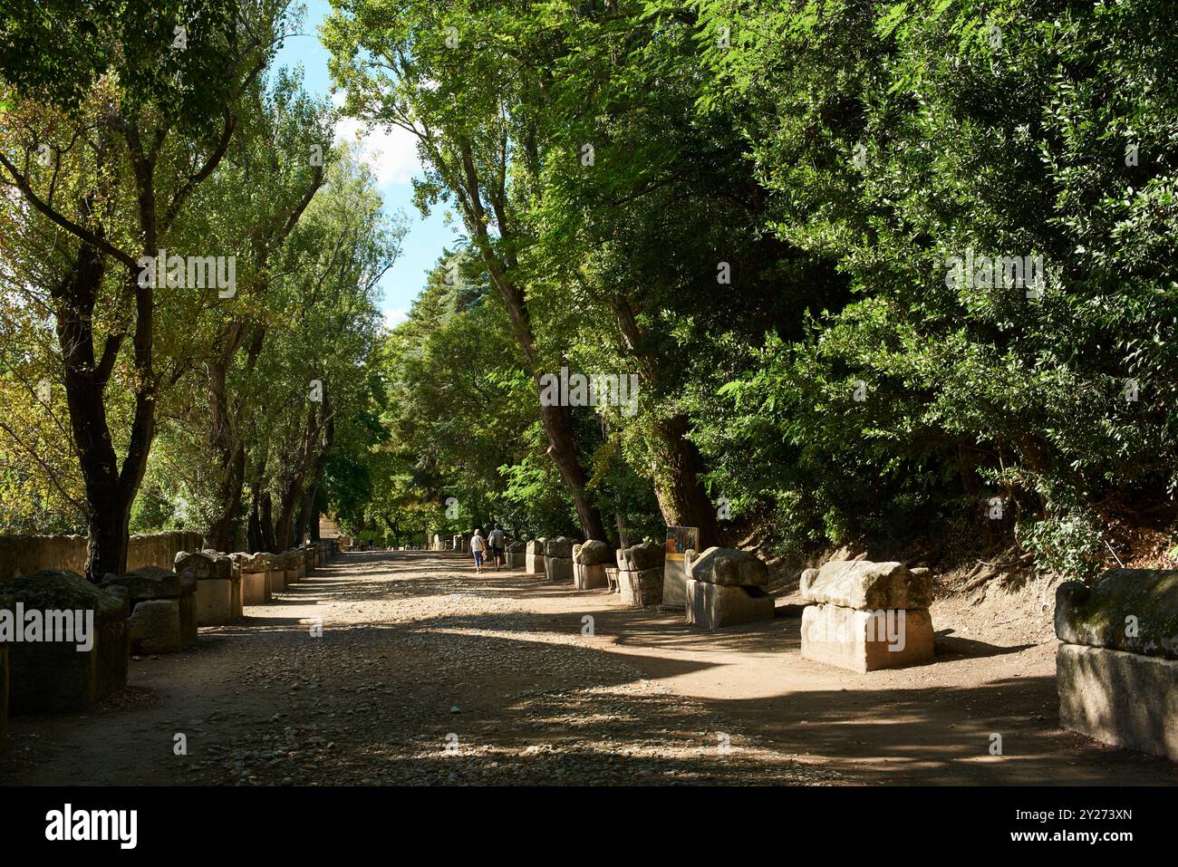 Les Alyscamps Roman necropolis at Arles, Provence, Southern France ...