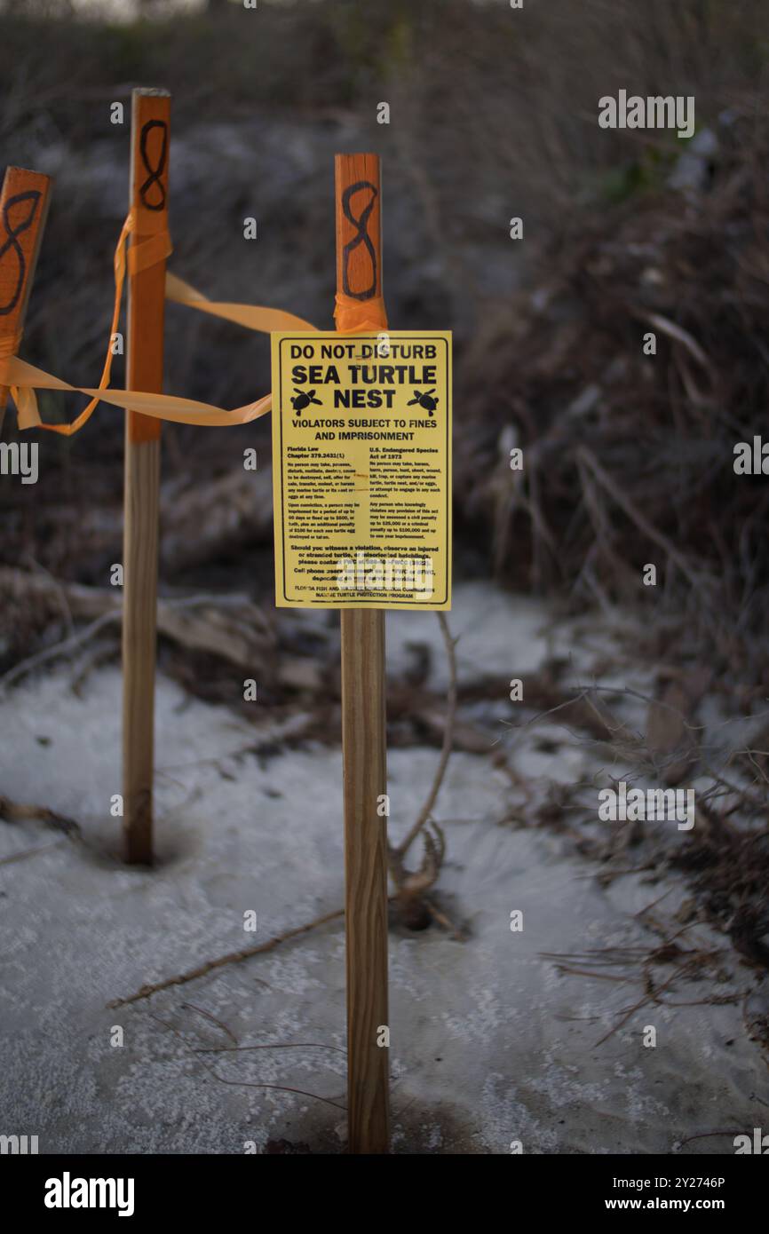 Closeup of yellow Warning sign on beach taping off sea turtle nest in ...