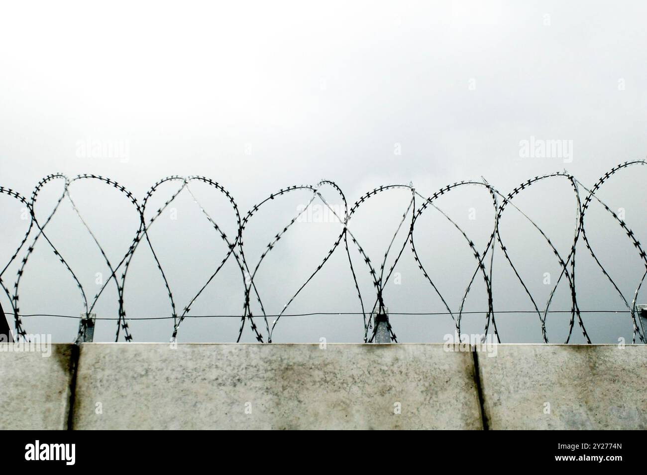 Barbed wire on a wall for protection Stock Photo - Alamy