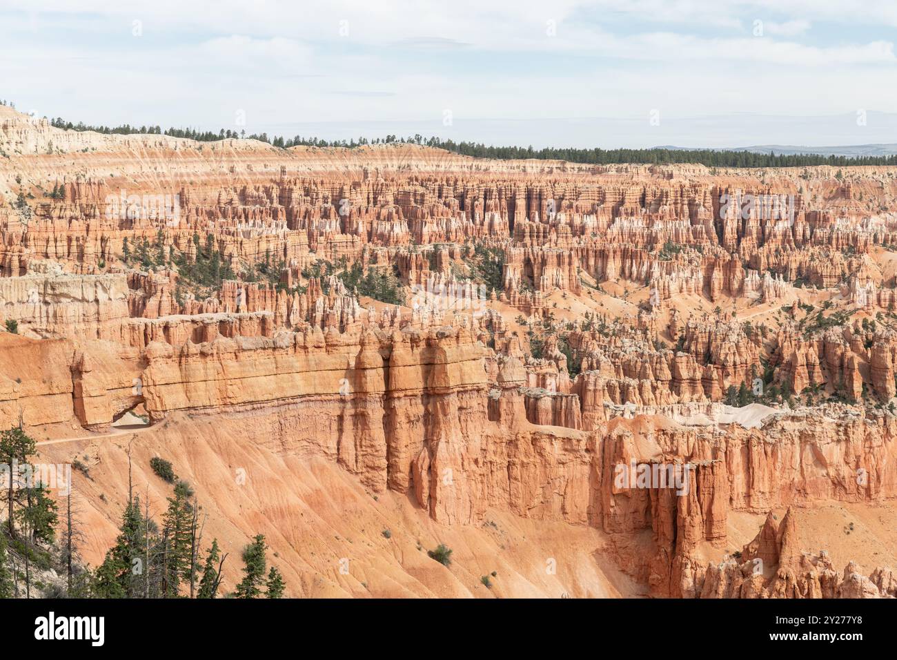 Bryce Canyon from the Windows Trail, Utah, USA Stock Photo - Alamy