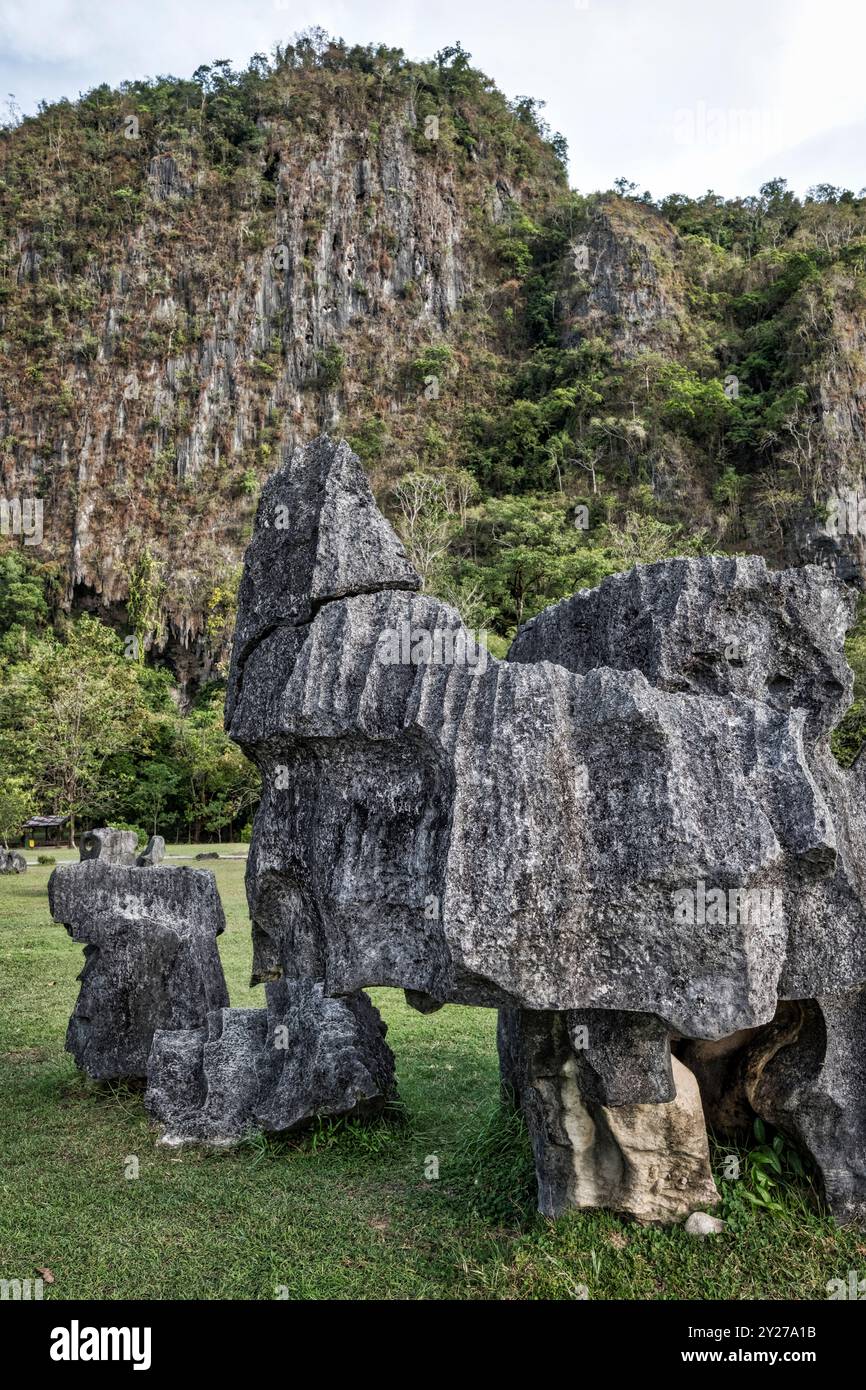 Indonesia caves paintings hi-res stock photography and images - Alamy