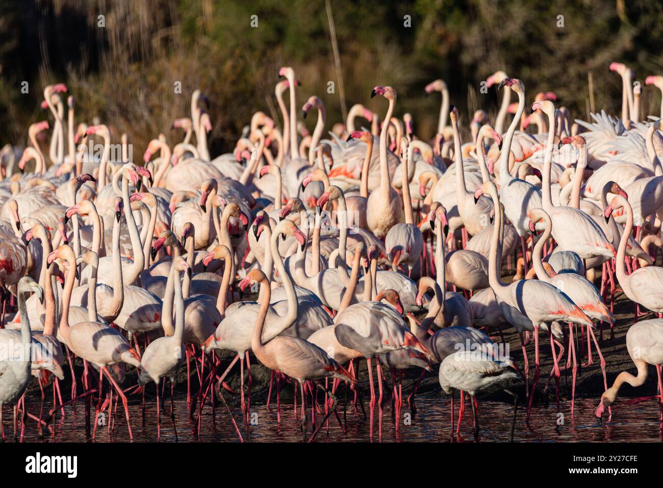 Landbound hi-res stock photography and images - Alamy