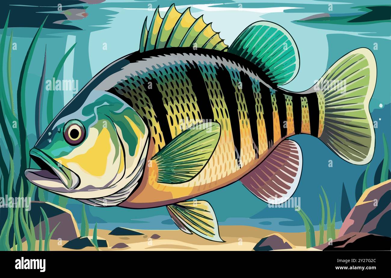 Peacock Bass Fish: Beautiful River Predator Stock Vector Image & Art ...