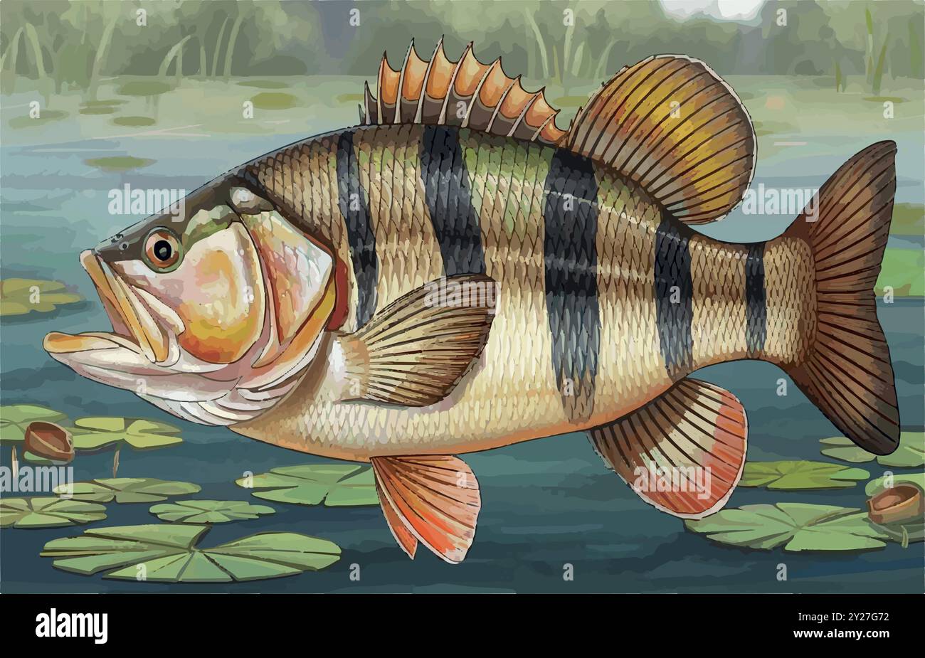 Amazon Adventures: Catching the Peacock Bass Fish Stock Vector Image ...