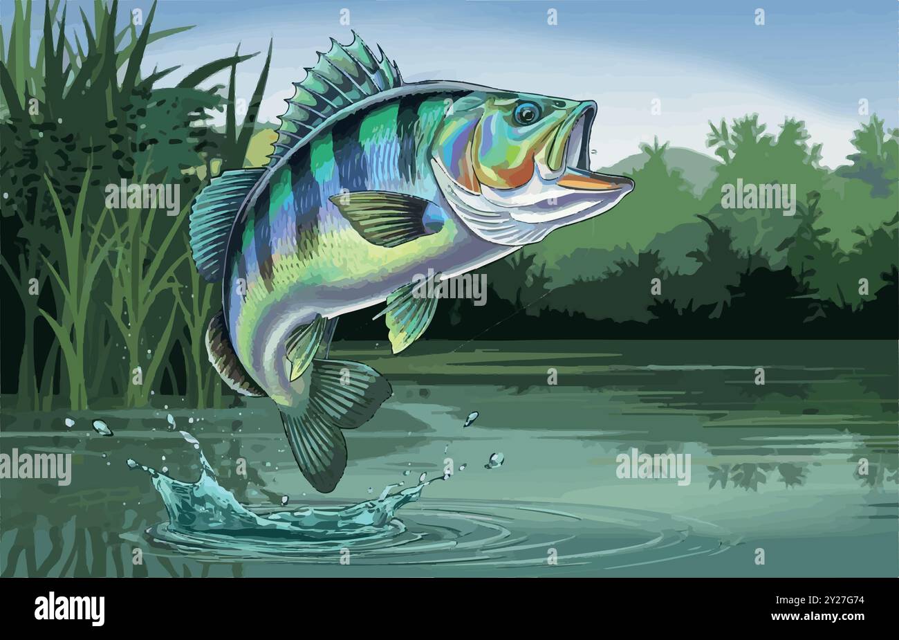 Peacock Bass Fish: The Vibrant Predator of Freshwater Stock Vector ...
