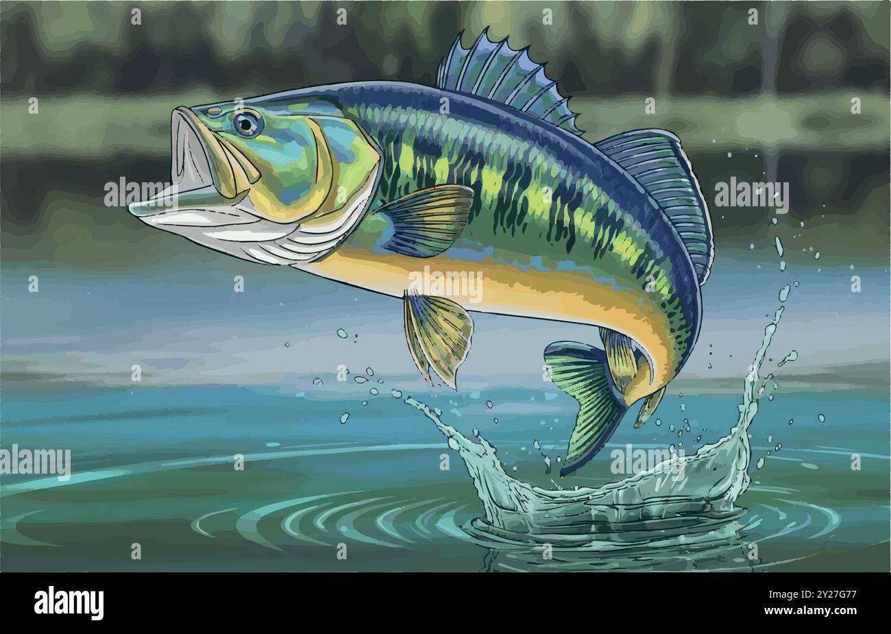 The Majestic Peacock Bass Fish of the Amazon Stock Vector Image & Art ...