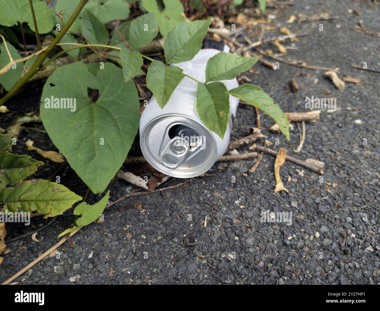 Footpath litter hi-res stock photography and images - Alamy