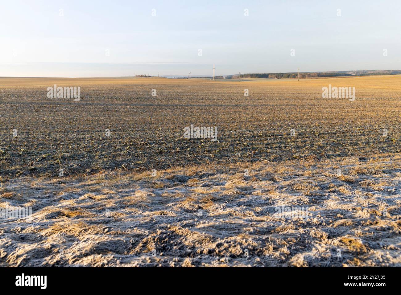 Growing resistant crops hi-res stock photography and images - Alamy