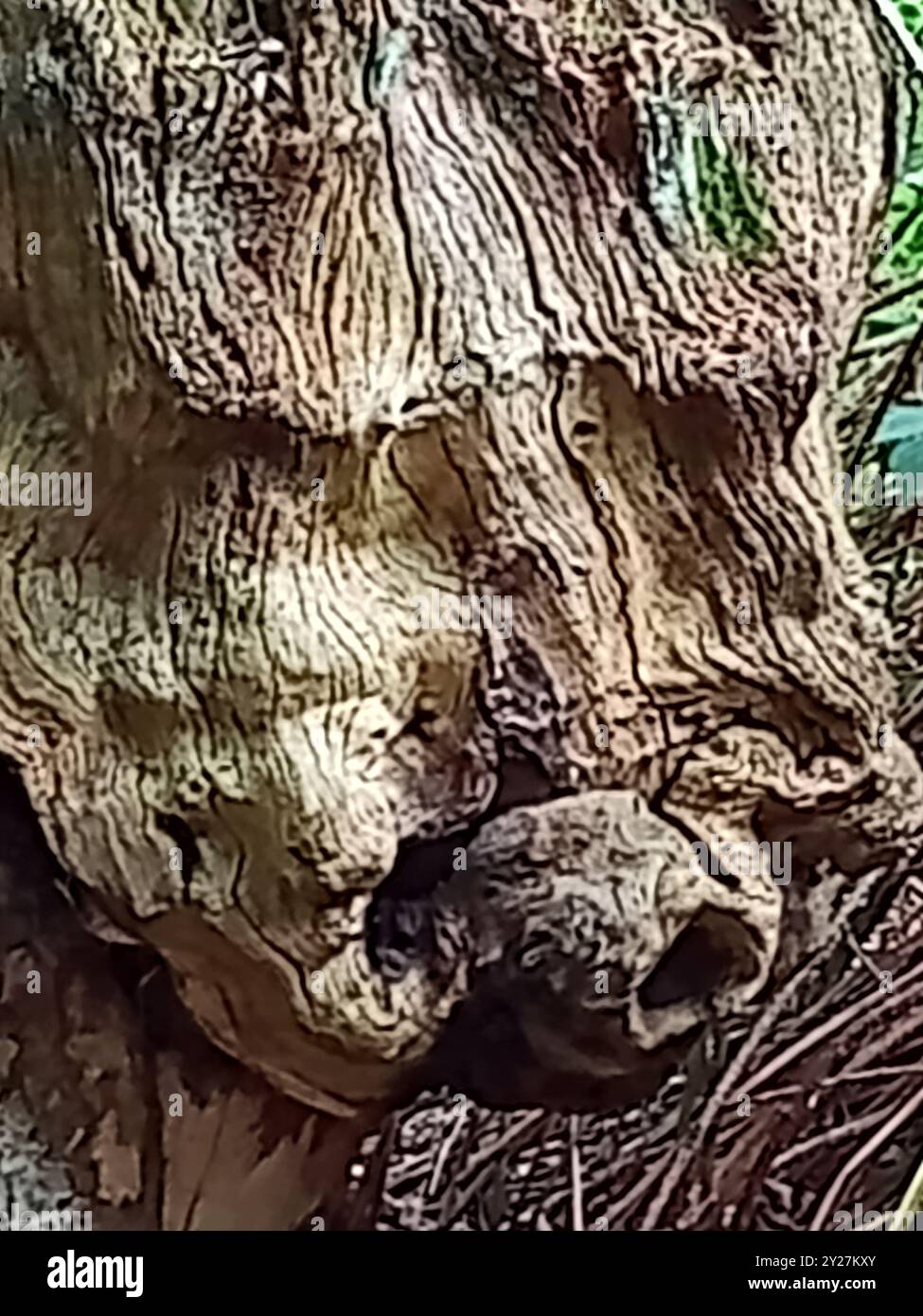 Old man face eyes hi-res stock photography and images - Alamy