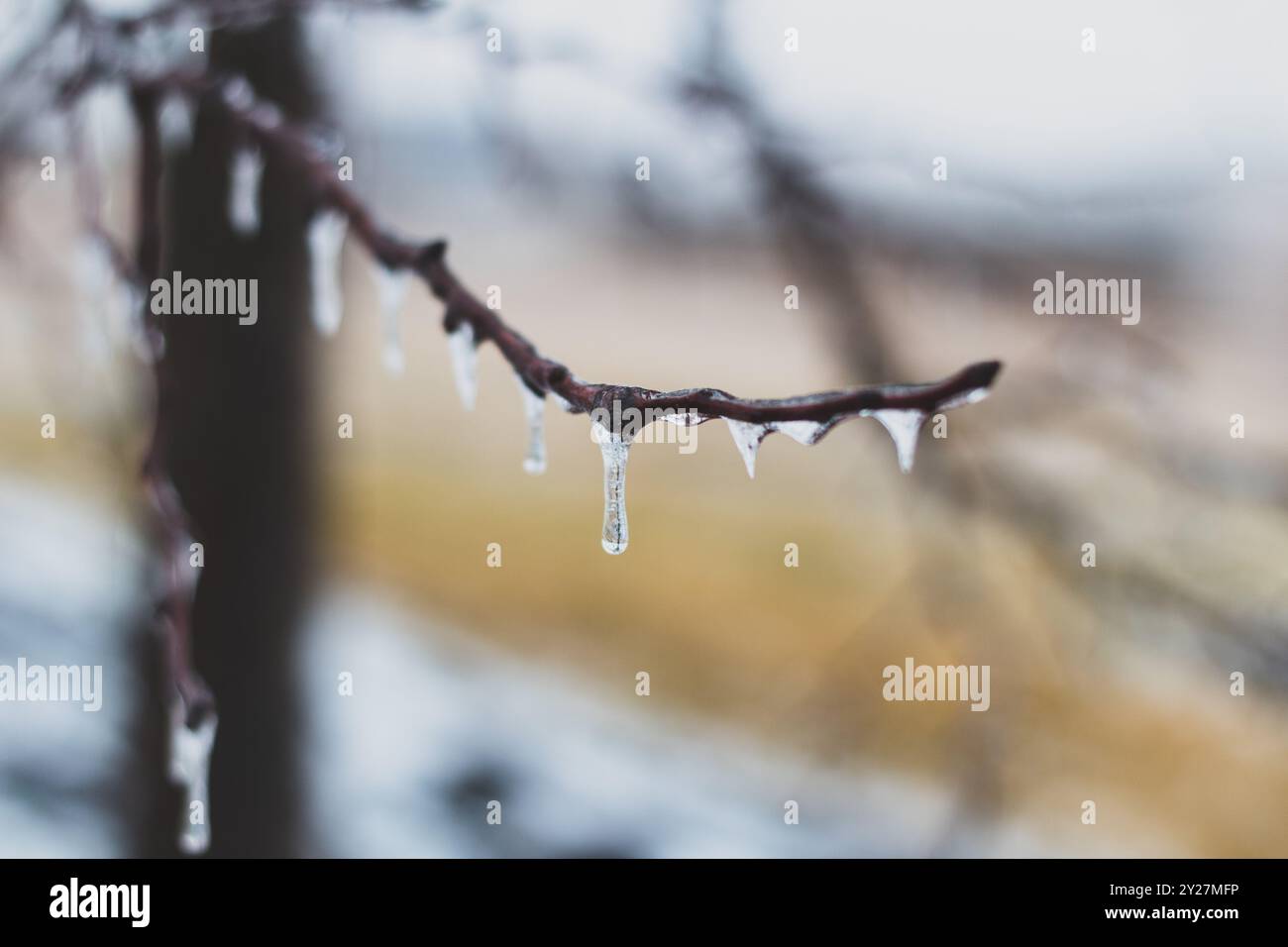 Midwest Winter Weather Stock Photo - Alamy
