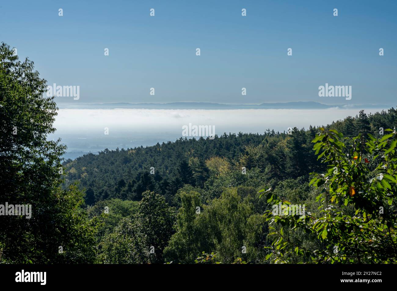 Ottrott Castles, France - 09 07 2024: View of the forest and hills from ...