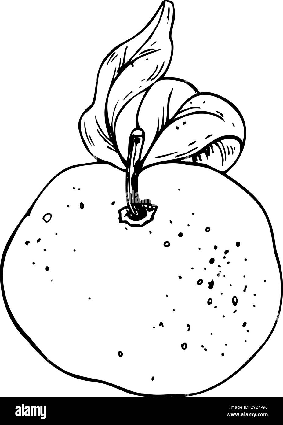 Line Drawing Of Orange With Leave Simple Line Vector