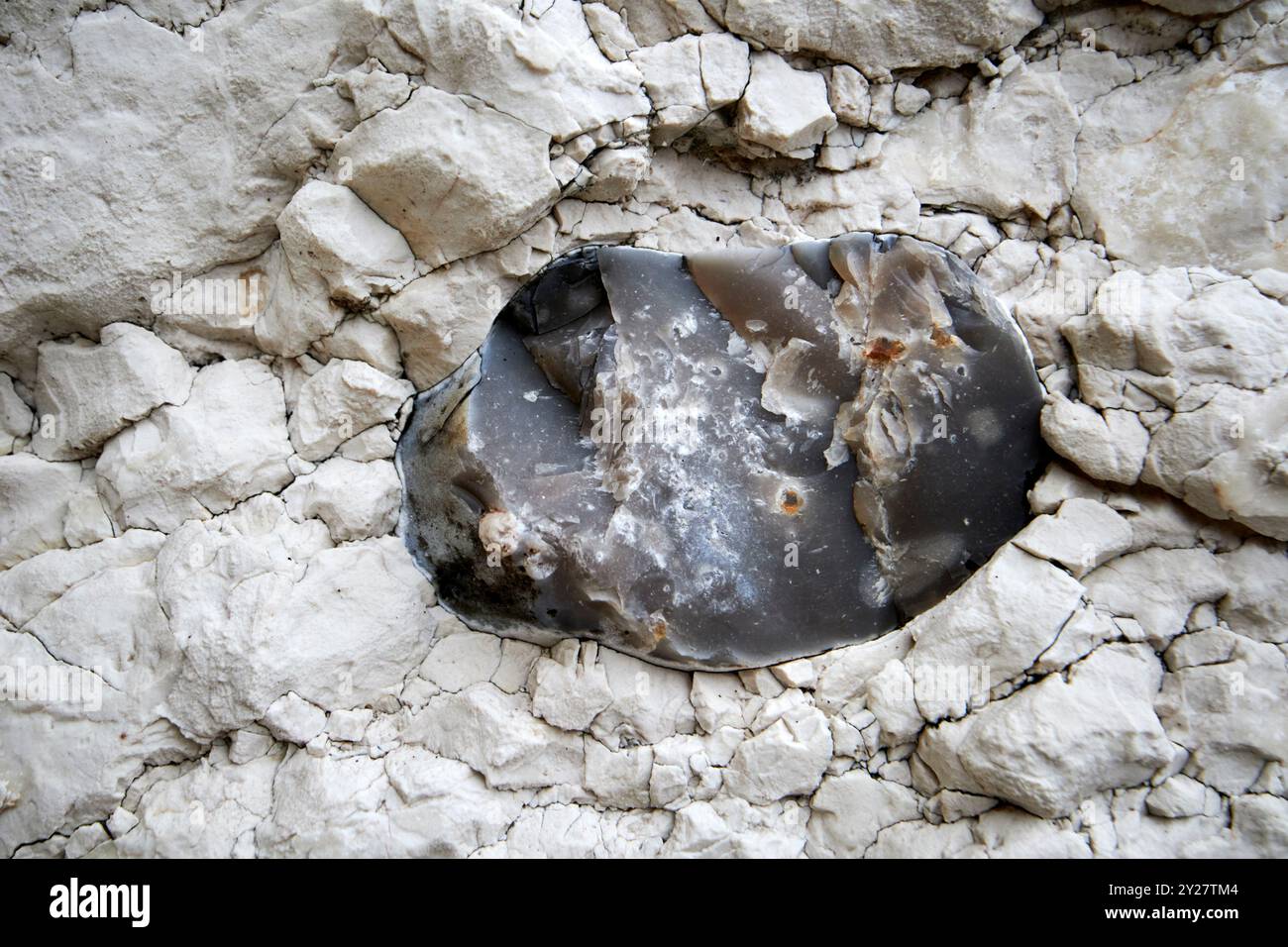 flint nodules in ulster white limestone forrmation on the north antrim ...