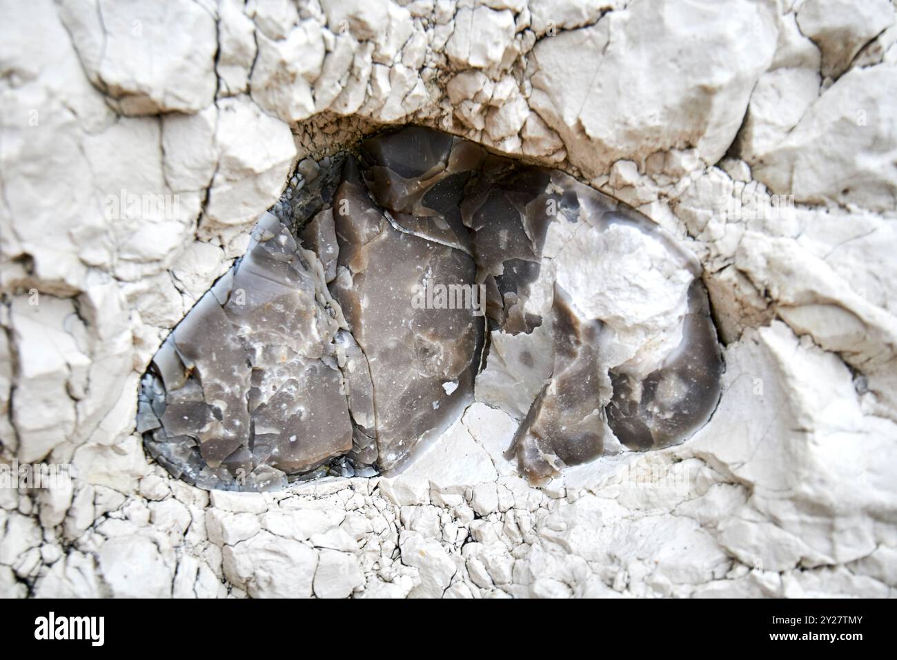 flint nodules in ulster white limestone forrmation on the north antrim ...