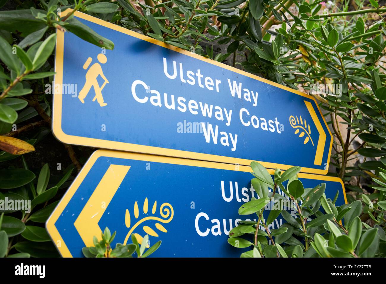 ulster way and causeway coast way signs north coast northern ireland uk ...
