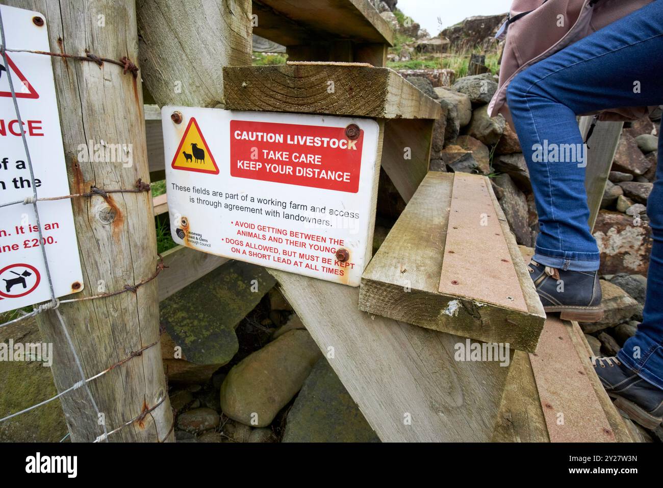 woman in jeans walking over wooden stile on the public pathway with ...