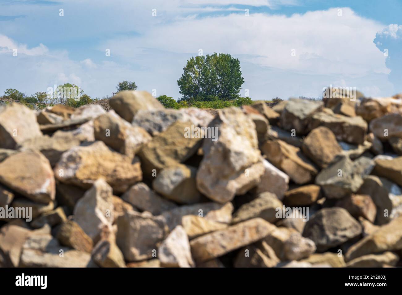 Old Rocks Framing a Tree: Top of the World Concept at Ancient Stobi ...
